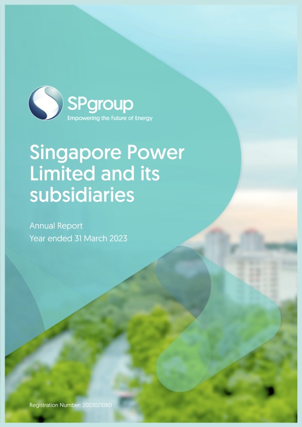 年度财务报告 - 新加坡能源集团